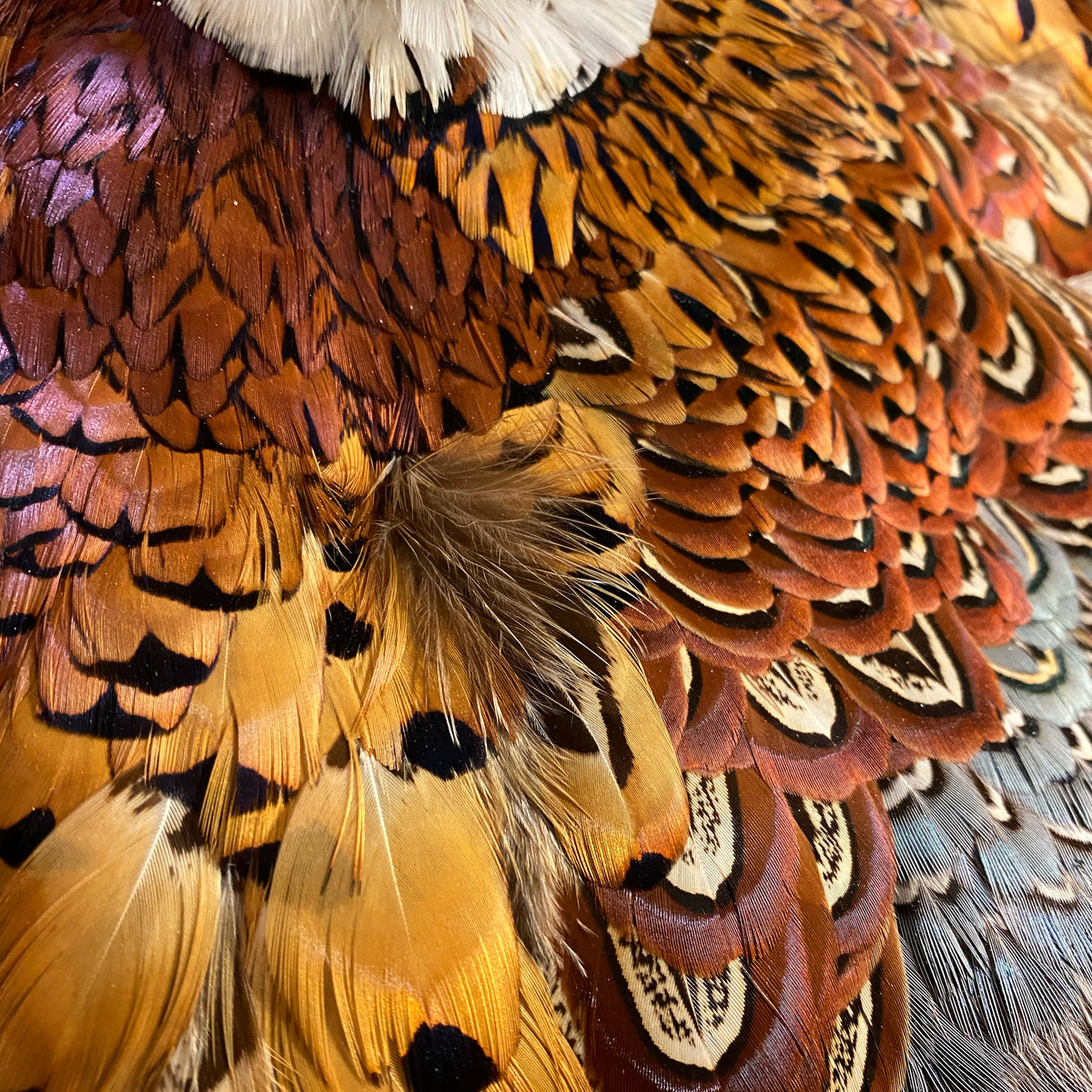 All Collectibles & Decor – BenchCandy